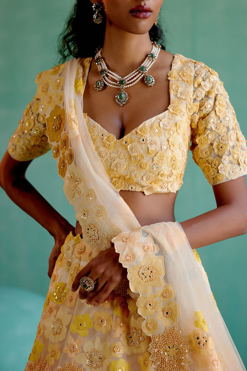 Avni lehenga set – Mishru